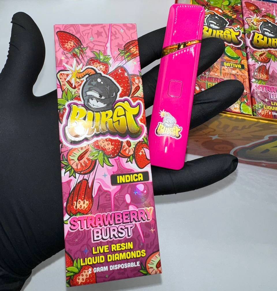 #1 best burst disposable - Elevated Smoker